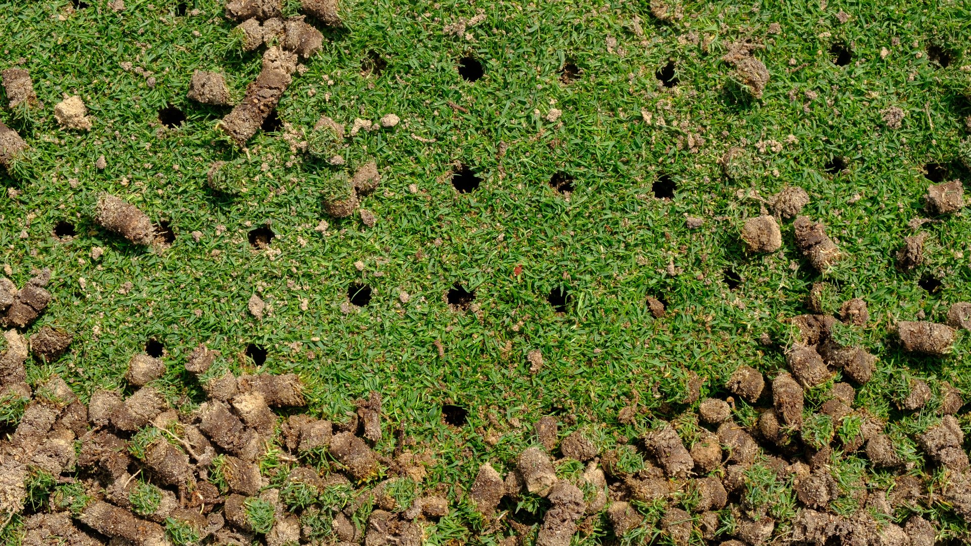 Liquid Aeration vs Core Aeration - Which Option Is Right for Your Lawn ...