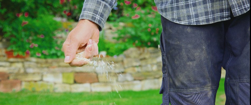 Don't Use Too Much Fertilizer - It Can Have Negative Consequences ...