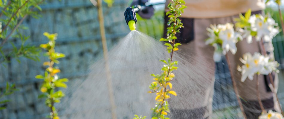 The Ideal Weed Control Schedule for Your Landscape Beds | Sharp Lawn Care